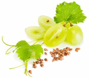 Ingredientes Nutracéuticos - Alvinesa