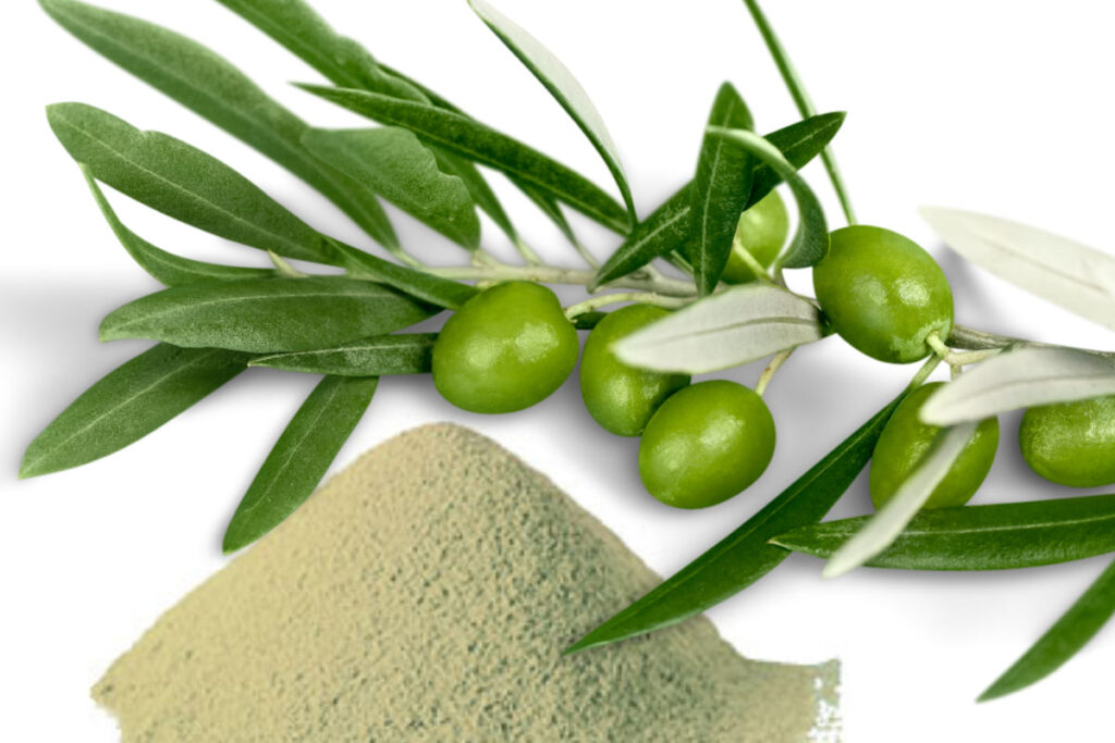 Oleafresh - Alvinesa